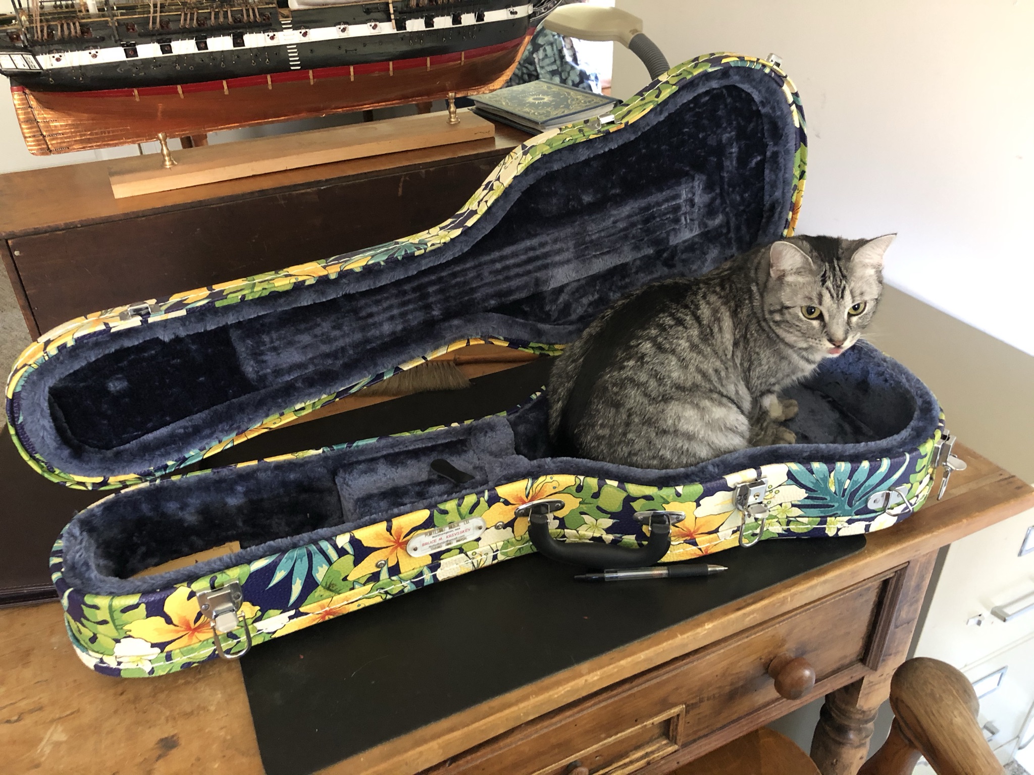 UKULELE MUSINGS, 21 January 2022: A Bit of Musical Mythology–“Catgut ...